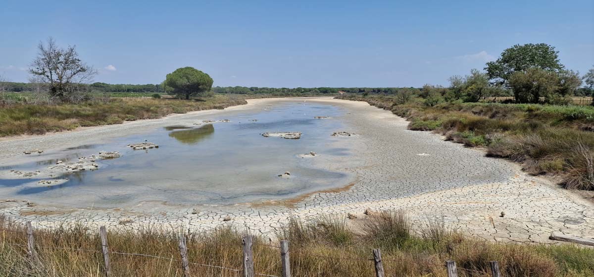 La Camargue - papy-voyage